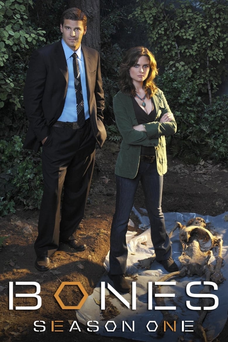 Bones Season 1 พลิกซากปมมรณะ ปี 1 พากย์ไทย/ซับไทย - โอเวอร์มูฟวี่ส์